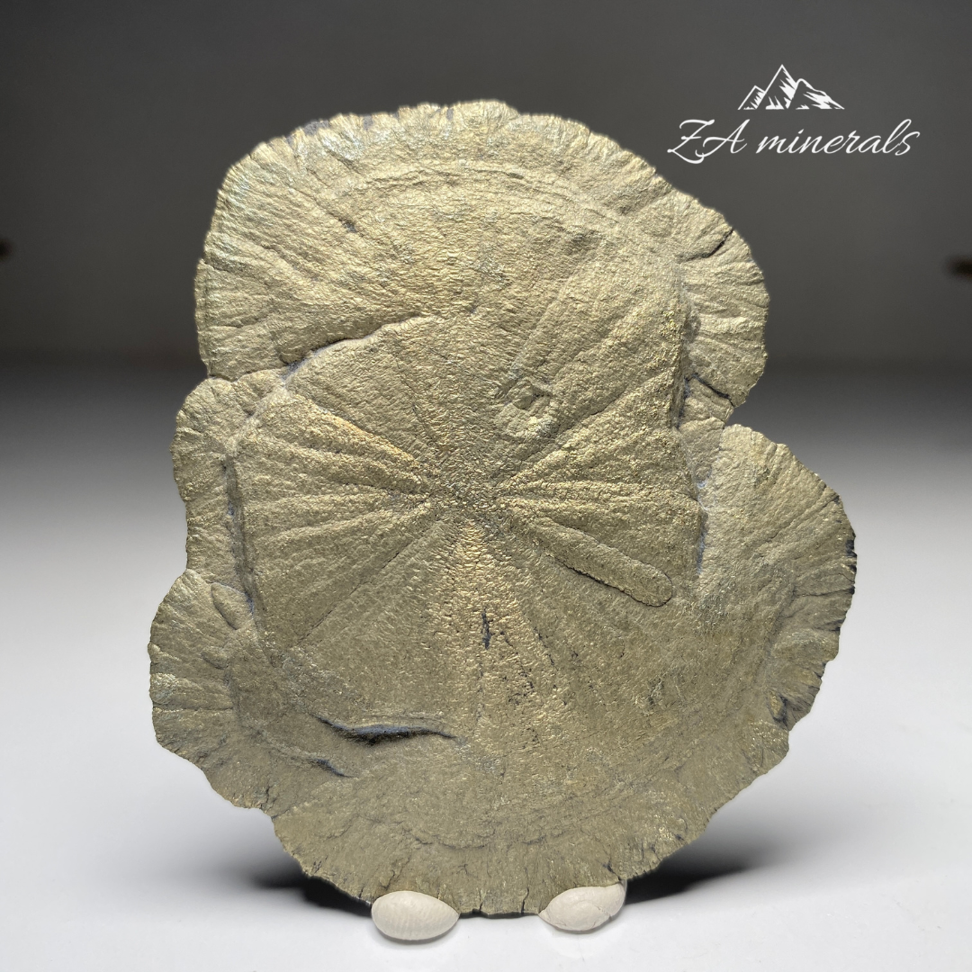 Pyrite 'Sun' HN01 – ZA minerals